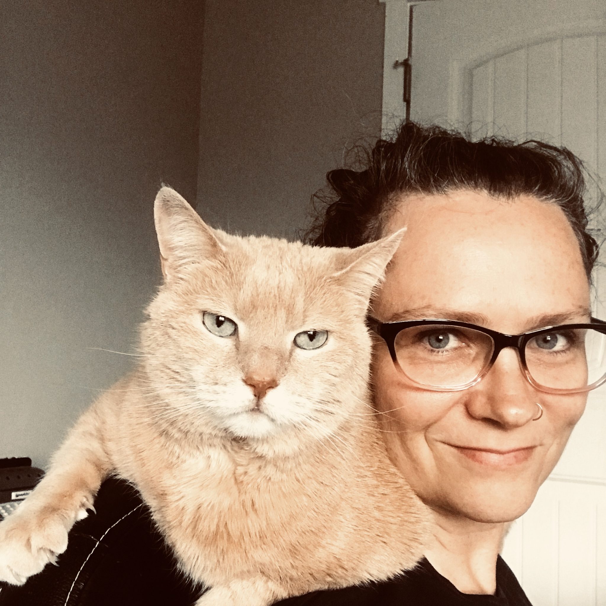 The Unshakeable Sleep | Nicole Grotepas